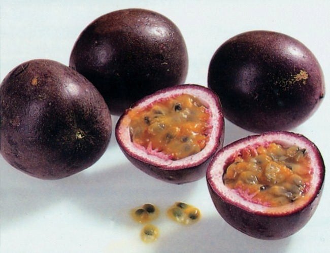 voće - Hrvatska enciklopedija