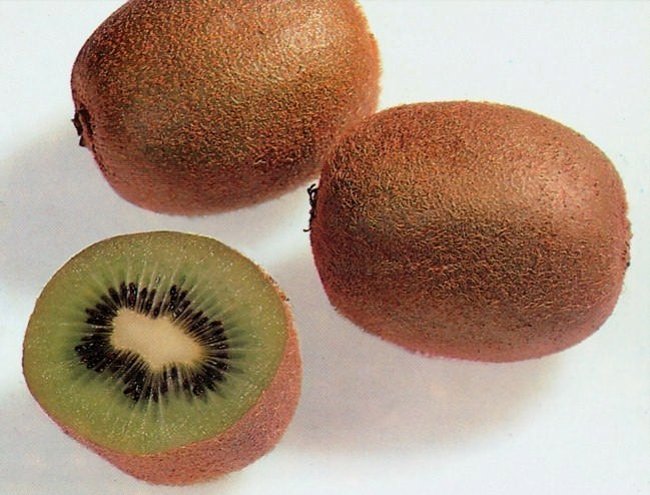 voće - Hrvatska enciklopedija