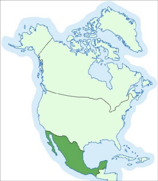 Meksiko - Hrvatska enciklopedija