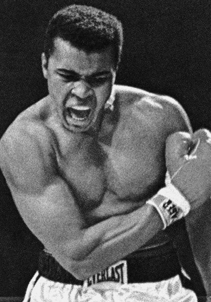 Ali, Muhammad - Hrvatska enciklopedija