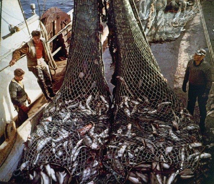 ribarstvo, morsko - Hrvatska enciklopedija