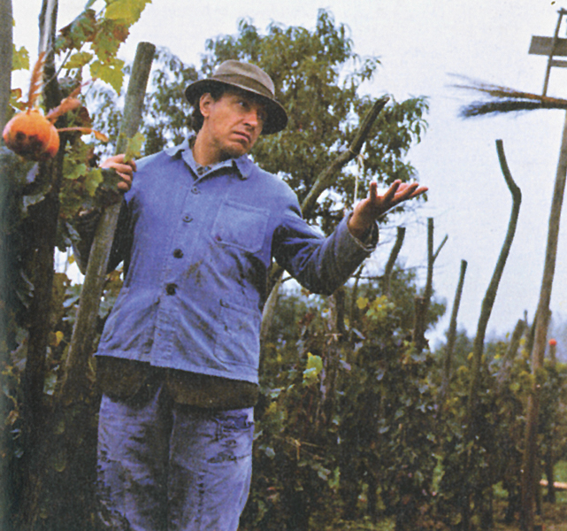 Sagner, Martin - Hrvatska enciklopedija