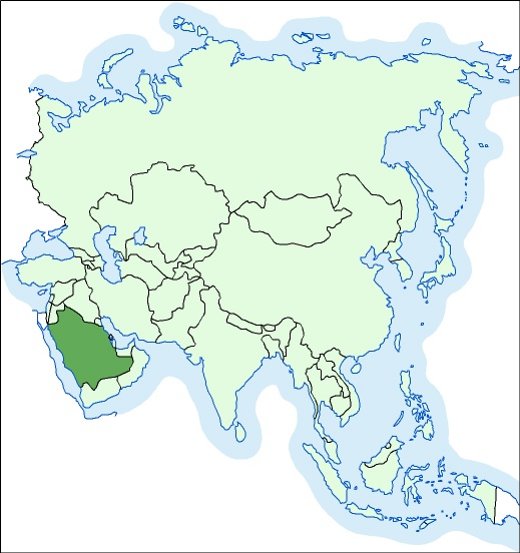 Saudijska Arabija - Hrvatska enciklopedija
