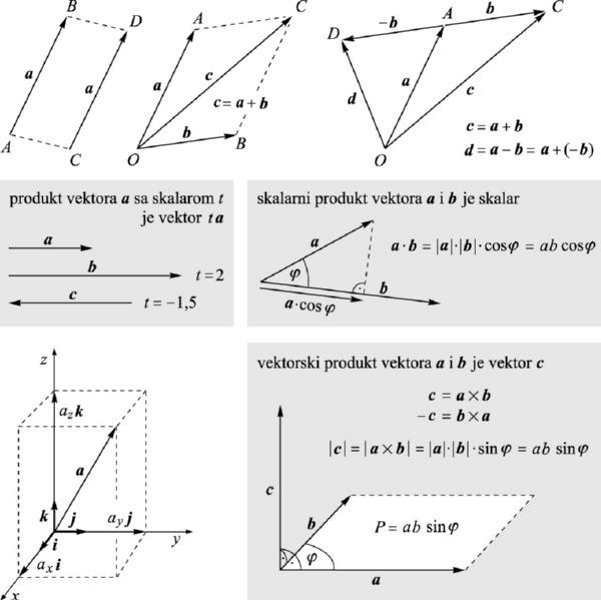 vektor - Hrvatska enciklopedija