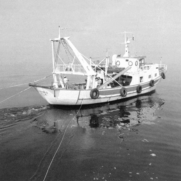 koća - Hrvatska enciklopedija