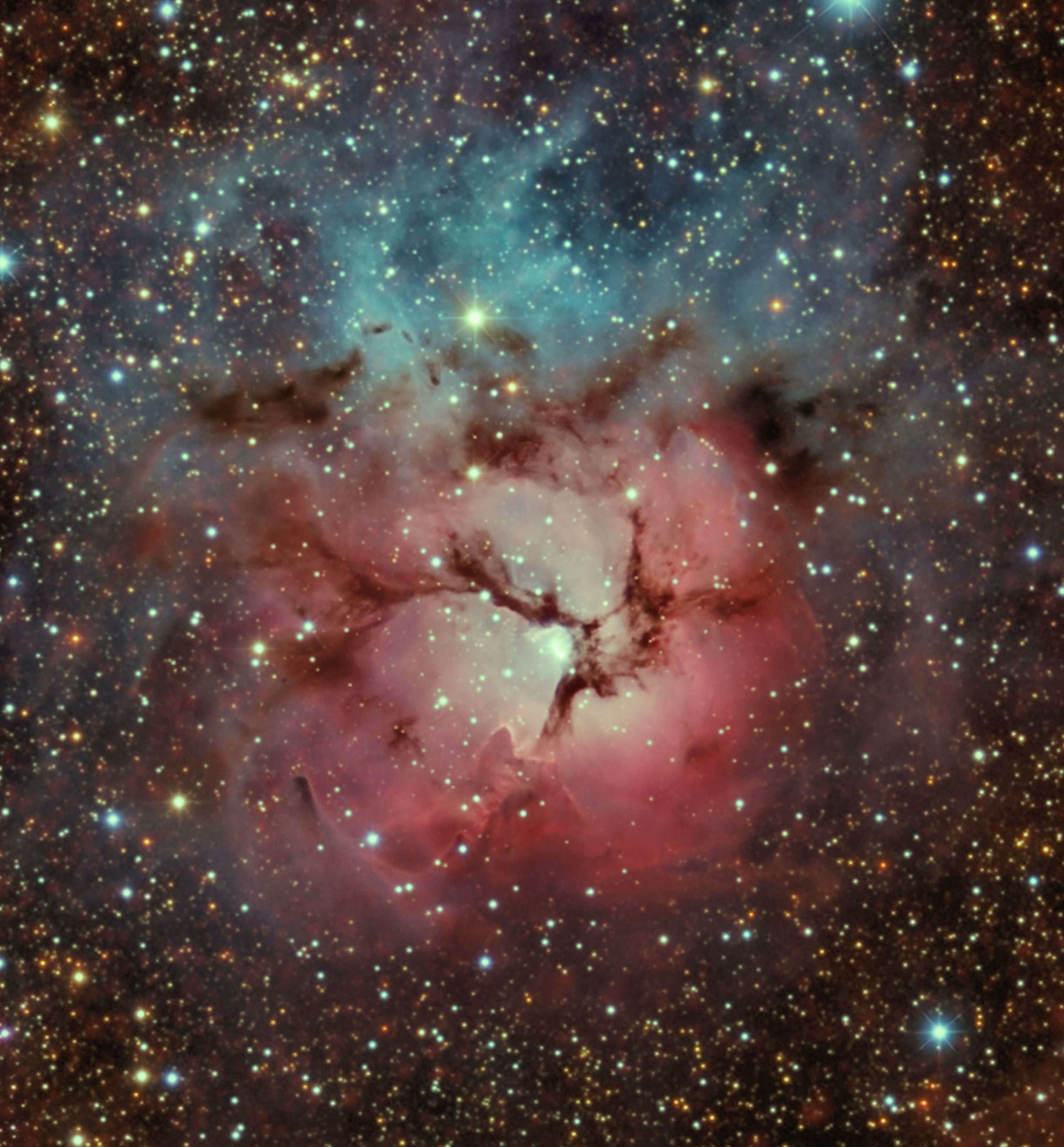 Trifid - Hrvatska enciklopedija